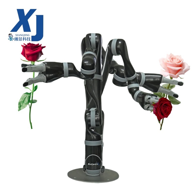 Kinova Gen2 Cobot: Lengan Robot Generasi Berikutnya untuk Presisi ...